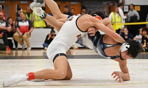 Connecticut Wrestling Online